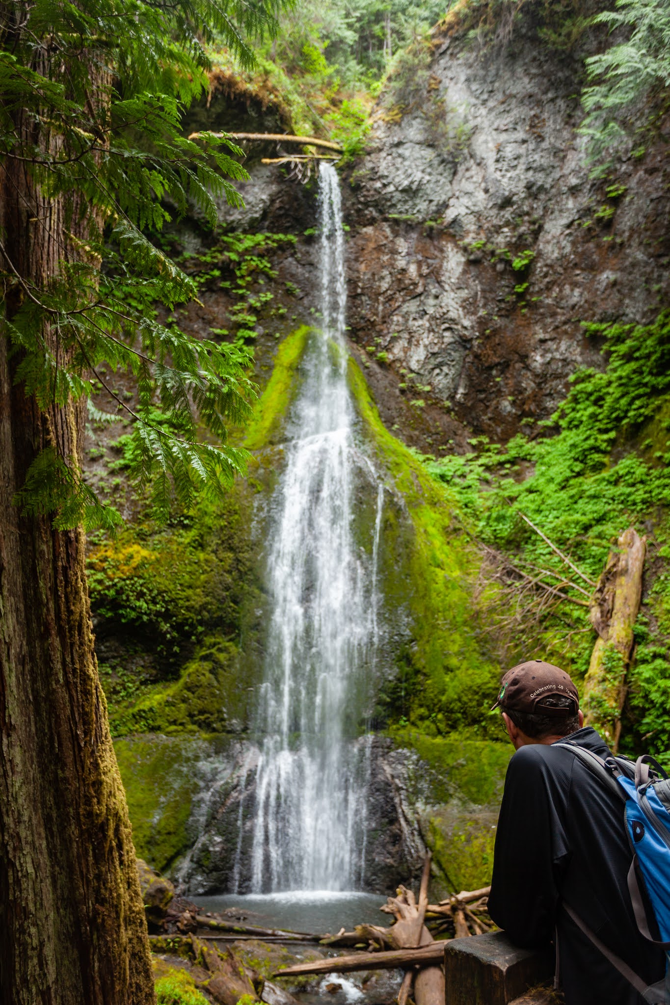 Marymere Falls - Parks Academe