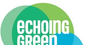 Echoing Green Fellowship for Social Entrepreneurs (worth $90,000) and ...