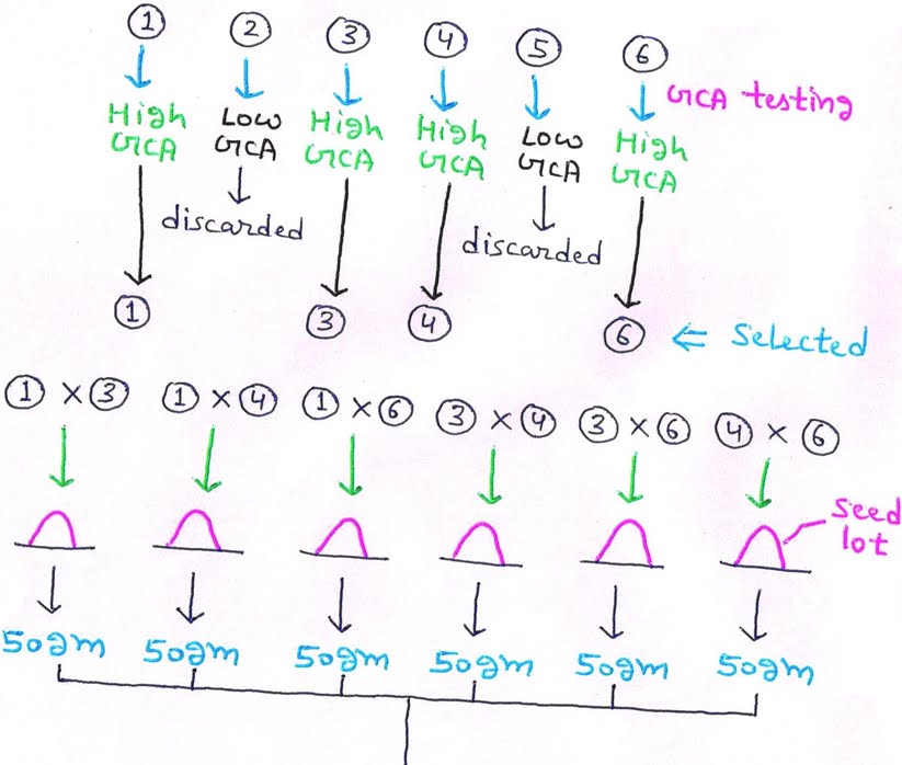Composite and Synthetic Varieties