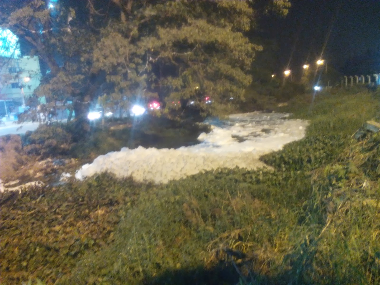 Bangalore's second largest lake and major Sewage Inlet: Varthur Lake ...