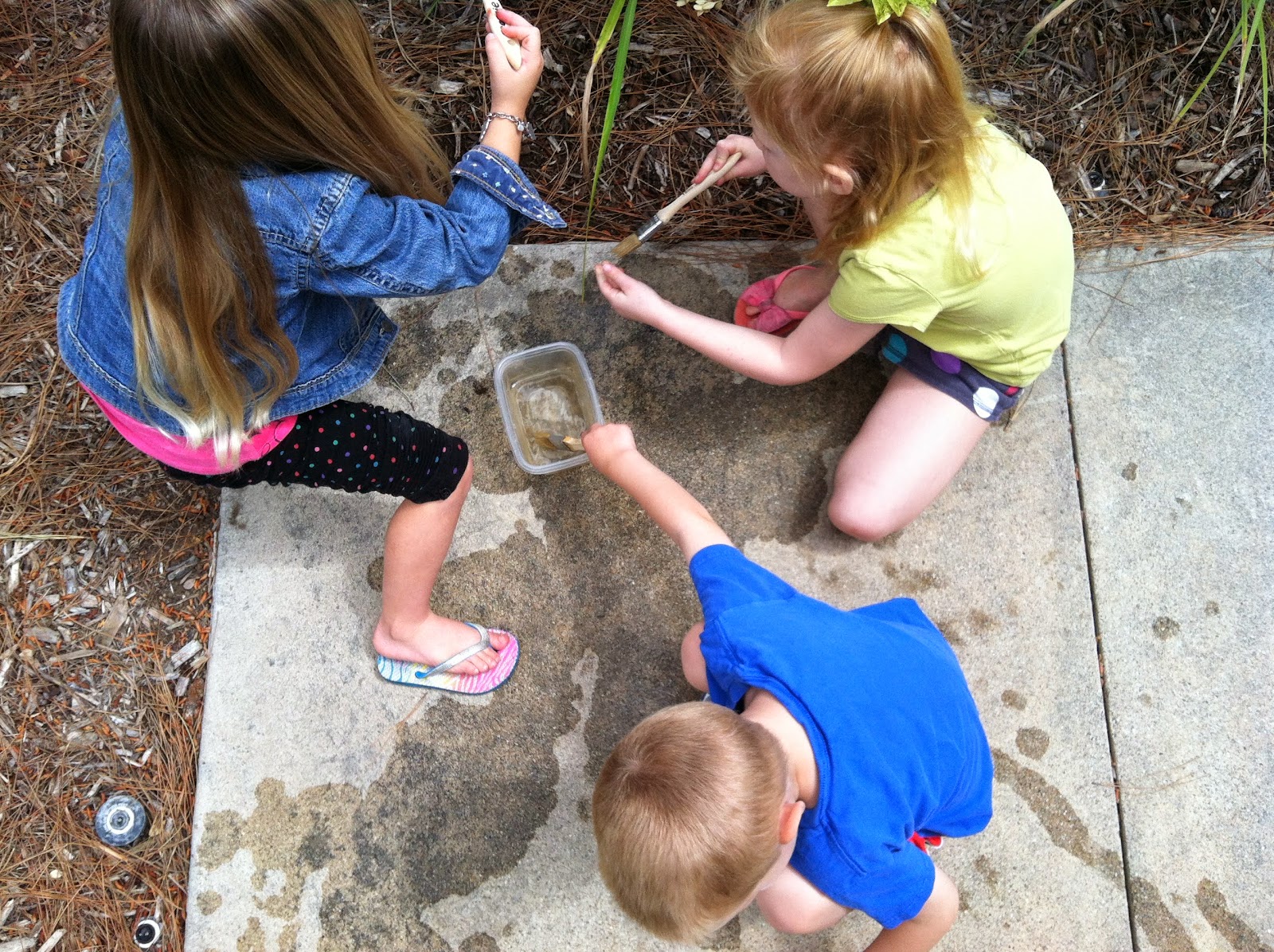 Chadwicks' Picture Place: Home Preschool: Letter W is for Water and ...