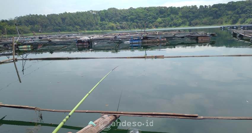 Wisata Ranu Pakis Lumajang, Surganya Pecinta Mancing - CAHDESO - Mimpi ...