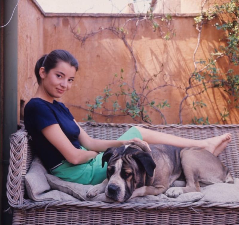 33 Beautiful Photos of French Actress Jacqueline Sassard in the 1950s ...