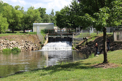 To Behold the Beauty: 6/1/17 - 7/1/17