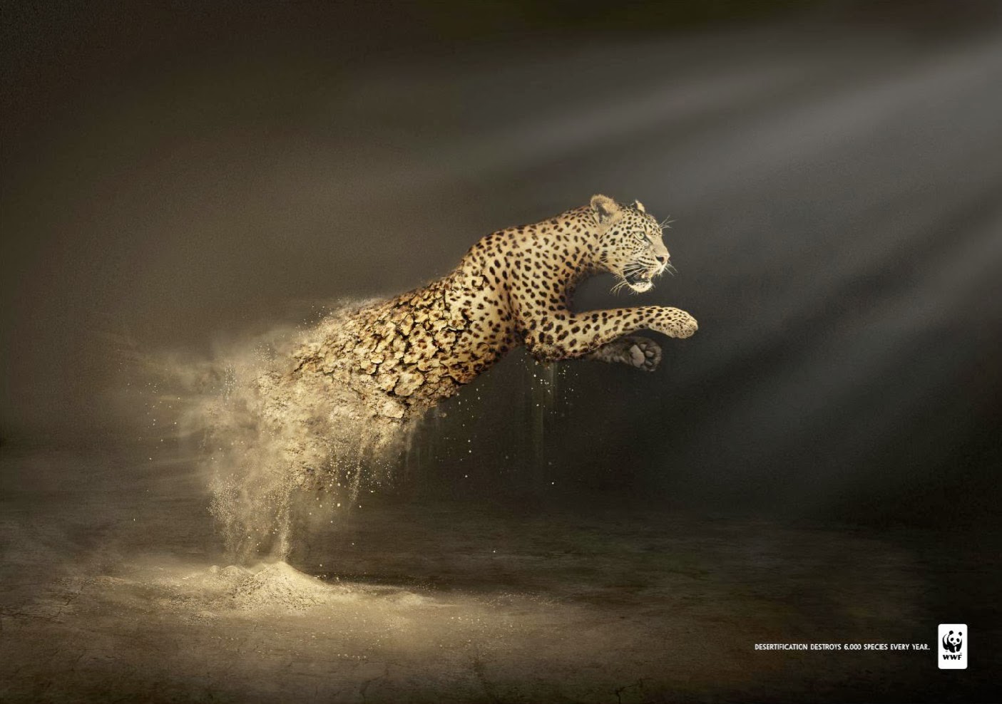 Affiche Publicité Wwf | Affiche Img