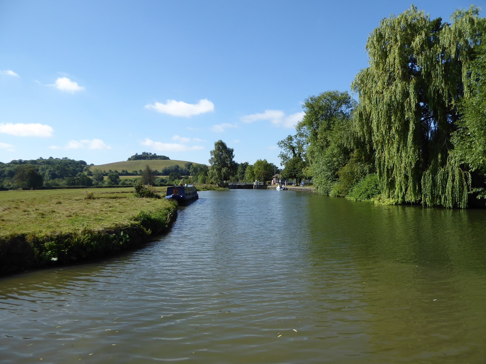 Wide Beam - Still Rockin': Wittenham Clumps