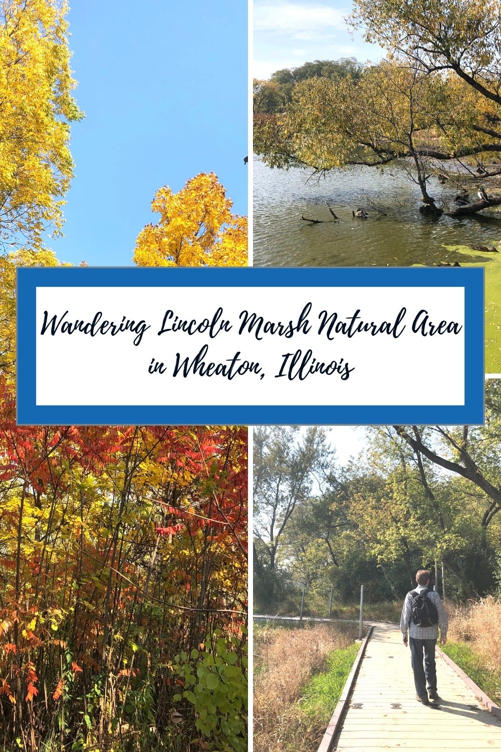 A Little Time and a Keyboard: Lincoln Marsh Natural Area: A Habitat ...