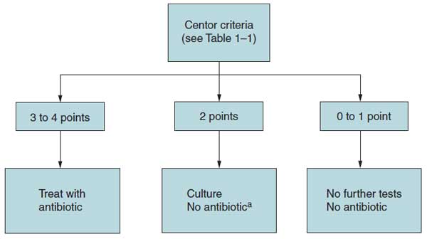 Streptococcal Pharyngitis ("Strep Throat") Case File