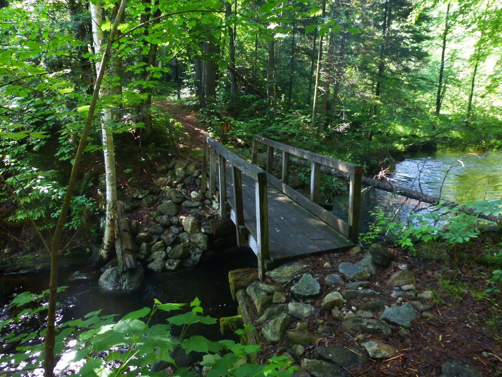 Off on Adventure: Hammond Pond and Sweet Fern Hill - Hammond Pond Wild ...