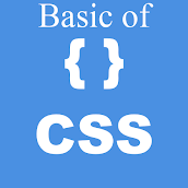 Html Page Design using Css Basic - Colourful Srote