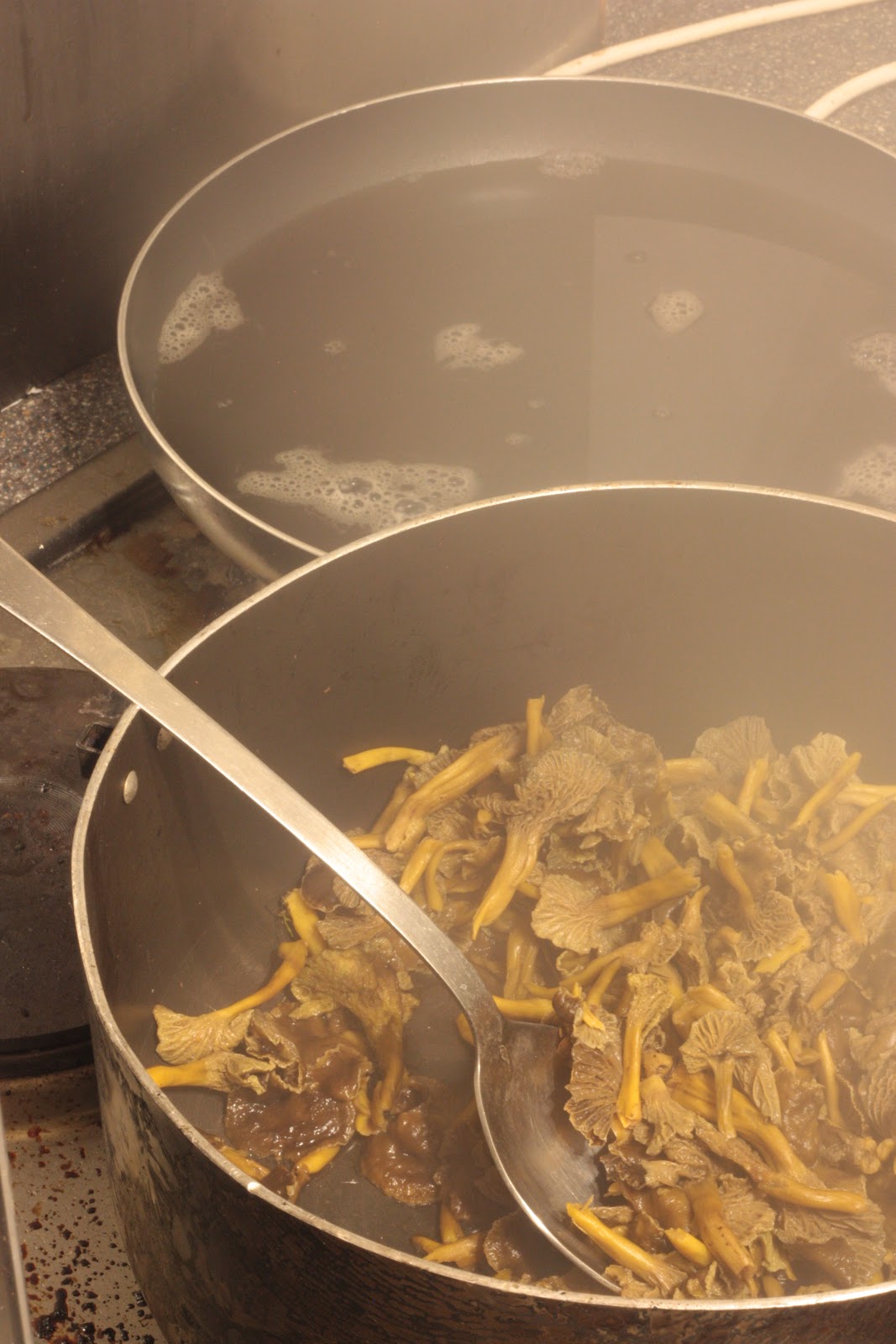 fergus the forager: Adventures of A Wild Food Experimentalist