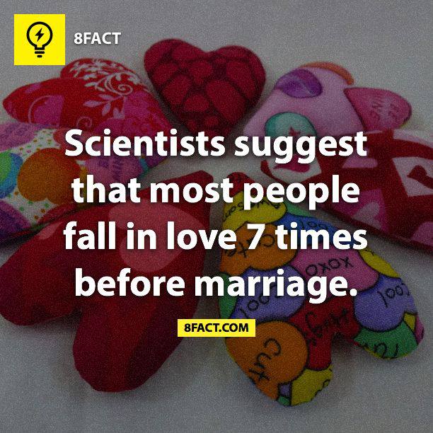 Scientists suggest that most people fall in love 7 times before ...