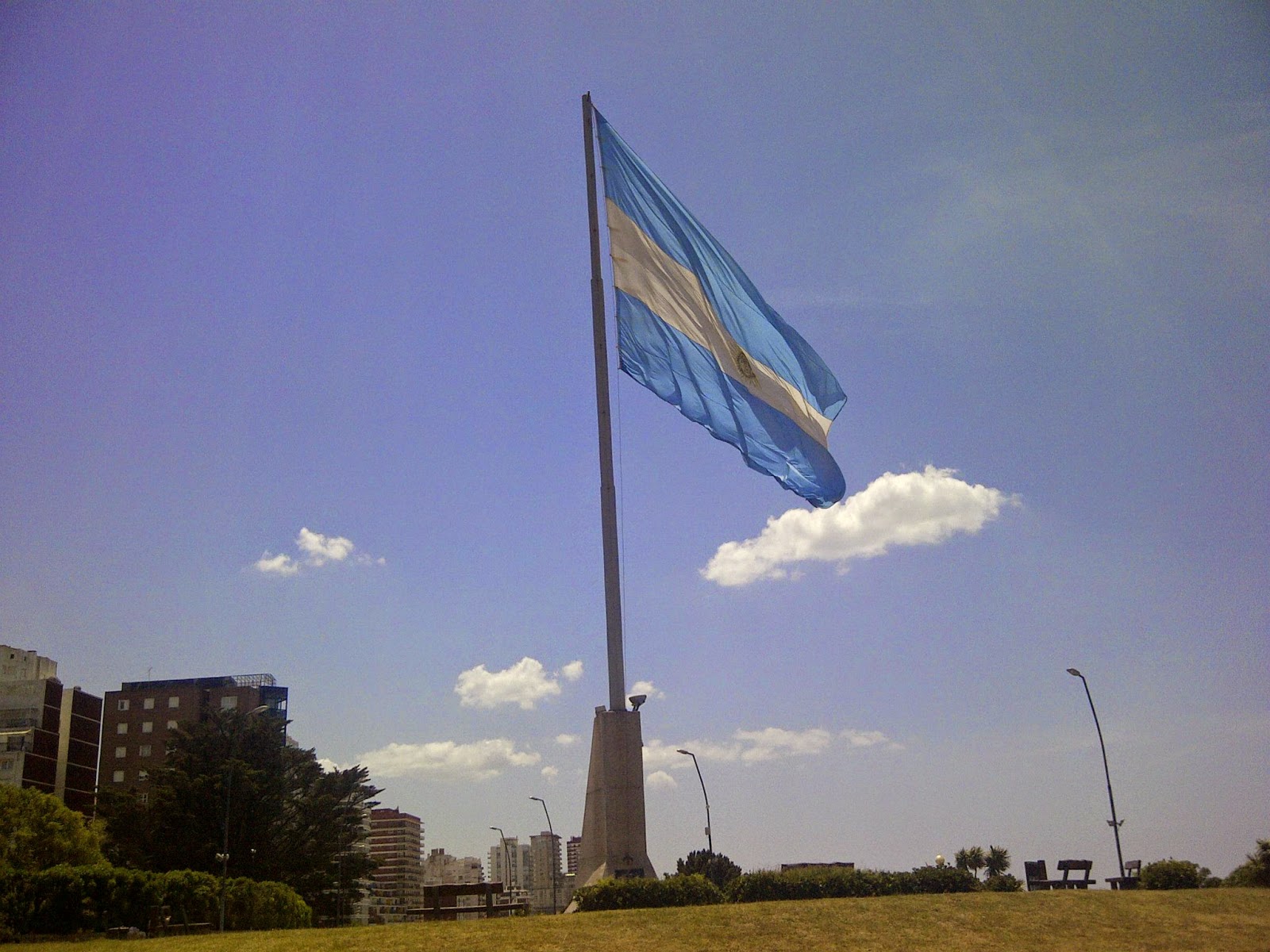 La avenida: Mi bandera