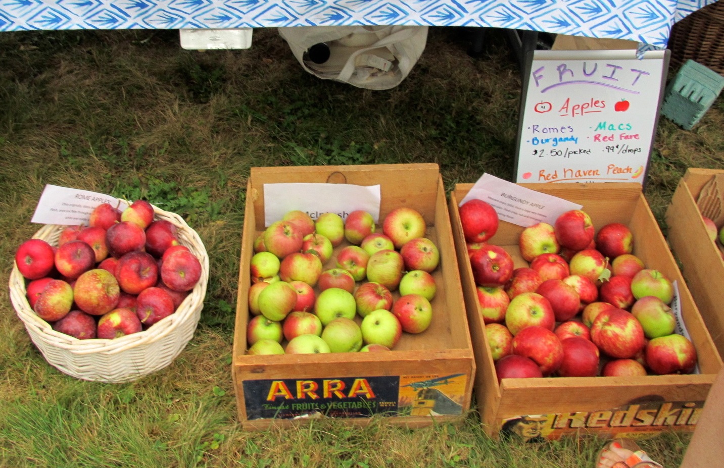 Northwood Farmers Market: It's APPLE SEASON!