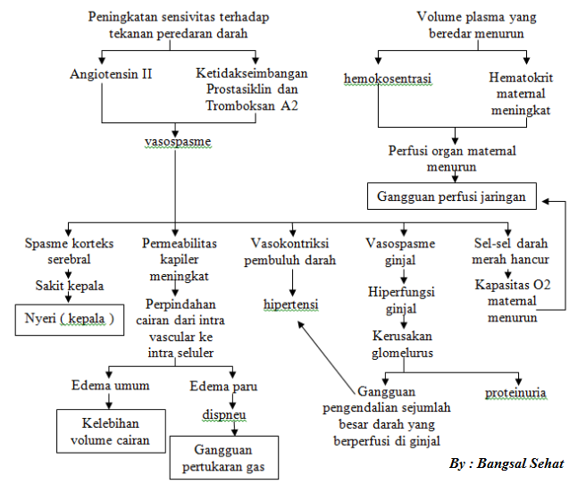 Diagnosa Keperawatan Preeklampsia - Perumperindo.co.id