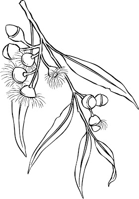 Beccy's Place: Gumnut Blossoms