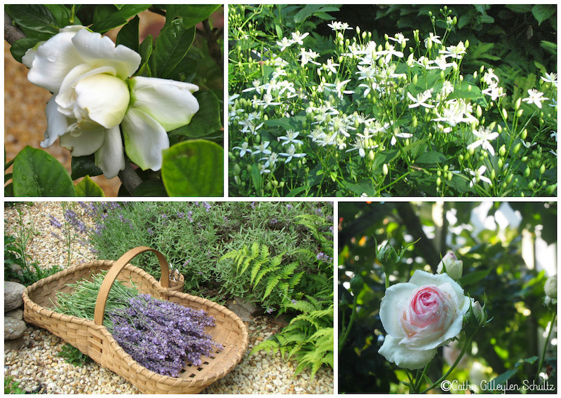 Another Perfect Day 365: Fragrant Offering