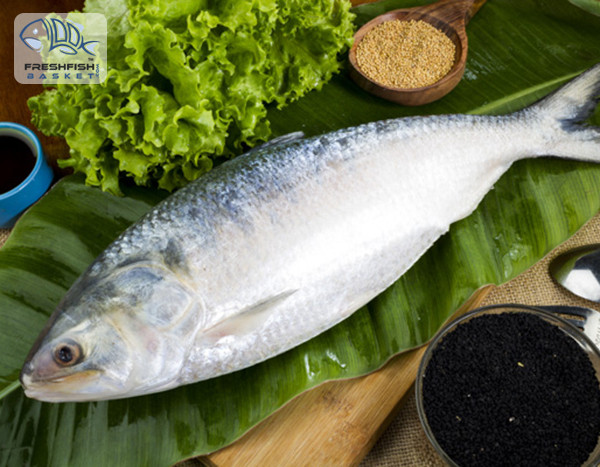 Fresh Fish Basket - Fresh Fish, Chicken, Mutton Online Home Delivery in ...