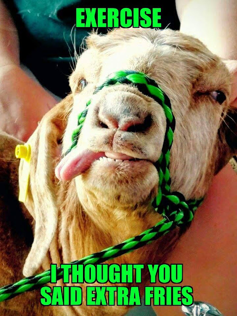 Exercise, i thought you said extra fries