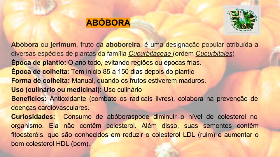 Planta da Semana: Aboboreira!!