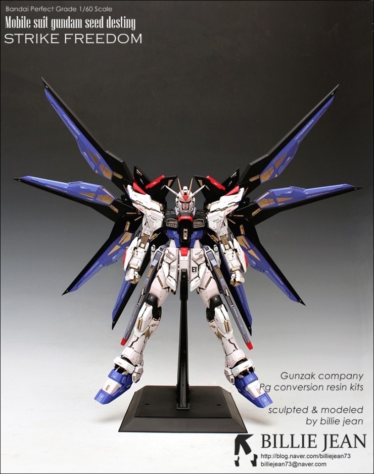 Custom Build: PG 1/60 Strike Freedom Gundam "Detailed"