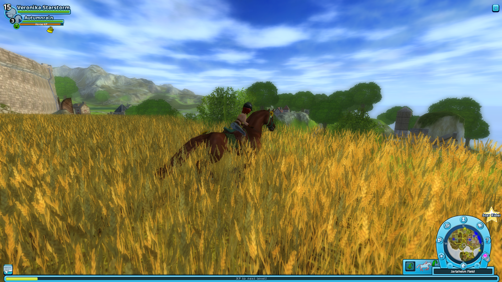 New Horse: Autumnrain!