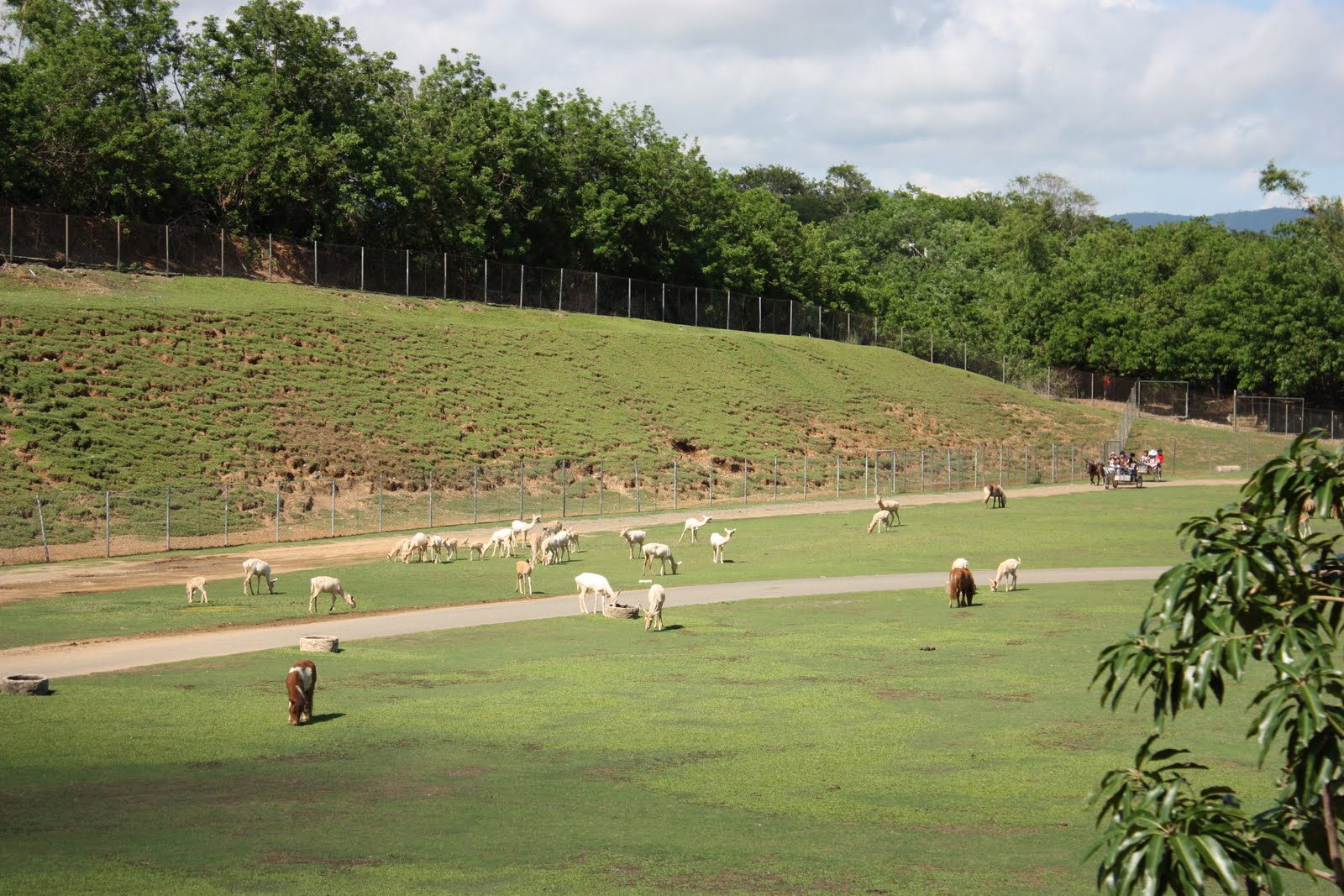 Baluarte ni Chavit Singson ~ Dream! Explore! Discover!
