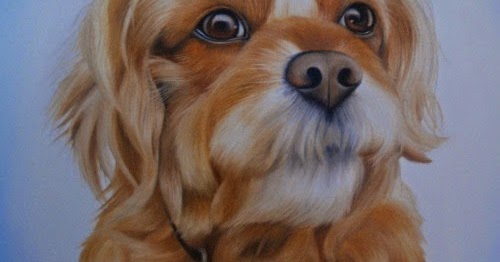 Errol the Cavapoo Pet Portraits Dorset UK artist paints dog cat oil ...