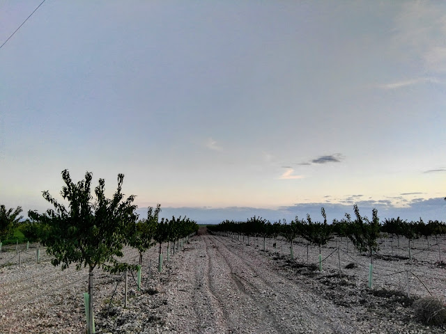Rutas en martes: una ruta inesperada ~ 40 rutas Rutas en martes: una ruta inesperada ~ 40 rutas