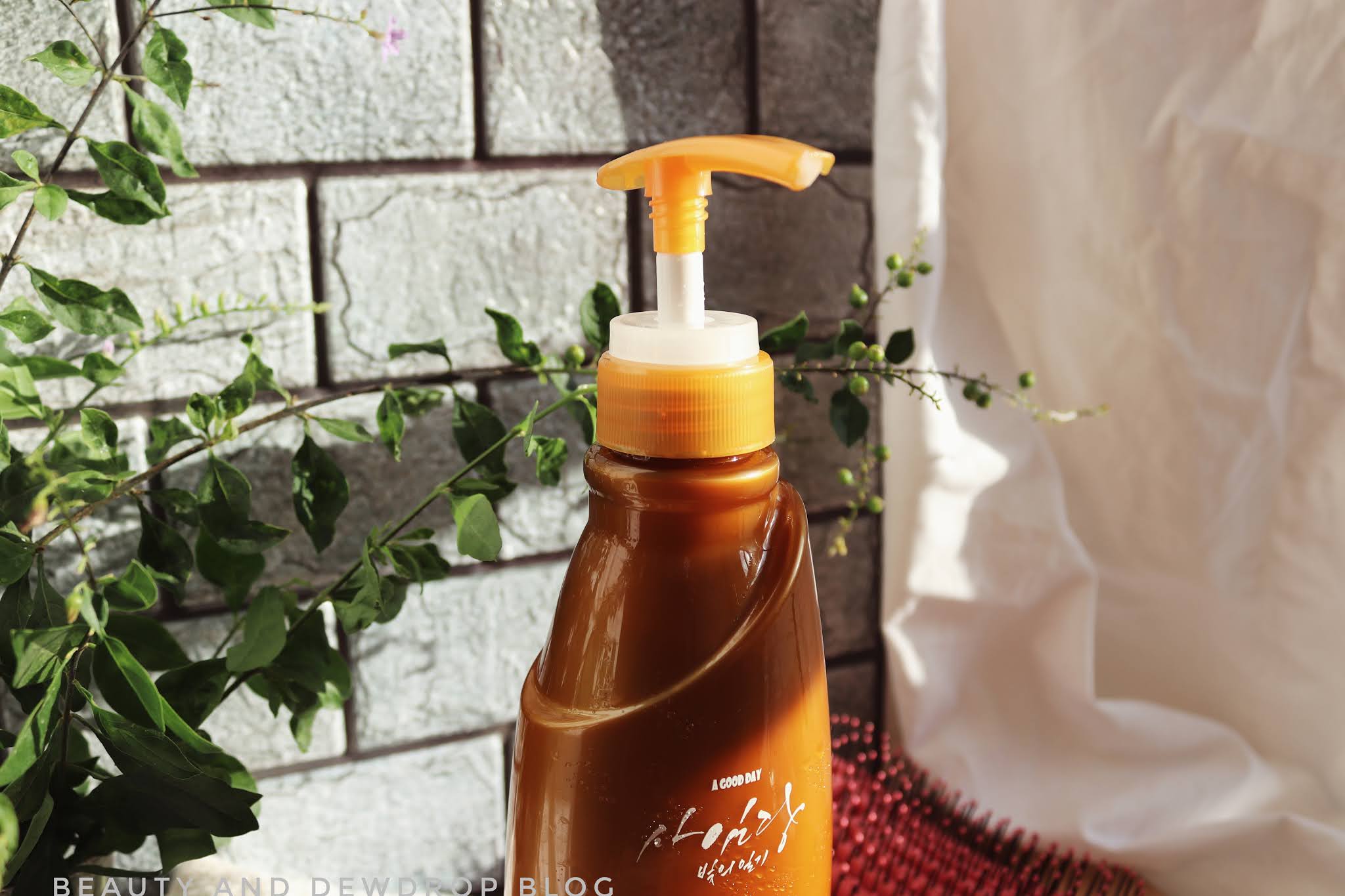 [Review] A GOOD DAY Mineral Herbal Hair Care Shampoo and Conditioner ...