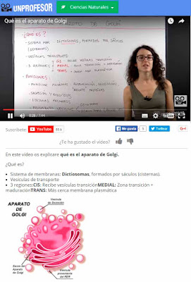 UNPROFESOR: Plataforma de aprendizaje para educación Primaria y Secundaria