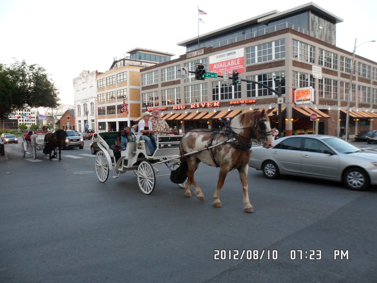 Sugar Creek Carriages: Horse Drawn Carriage Tours Nashville TN