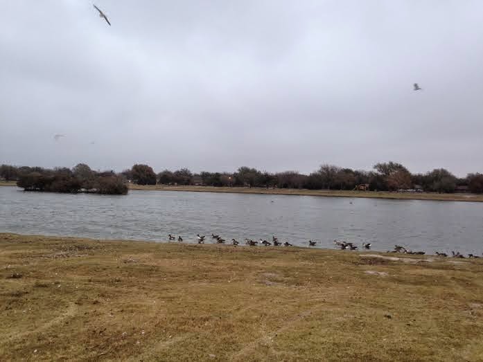 Lubbock All Over Again: The Playa Lakes of the South Plains