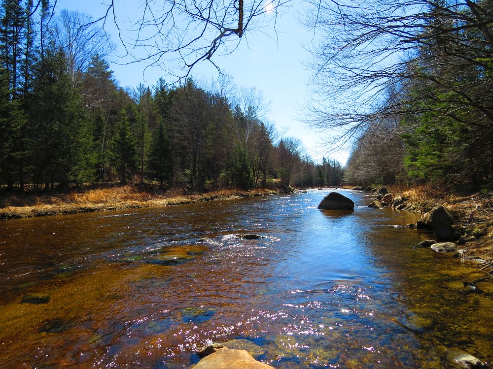 Outdoor Diversion: Along the Upper Ammonoosuc River