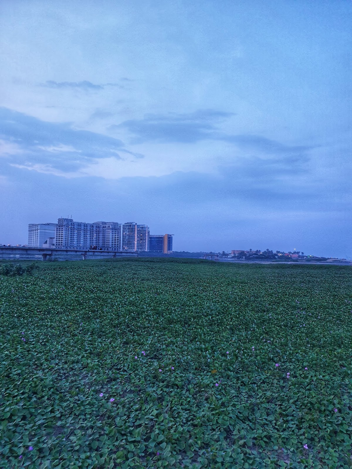 Bhakti Diaries : Broken Bridge - Chennai - Adyar - Things to do