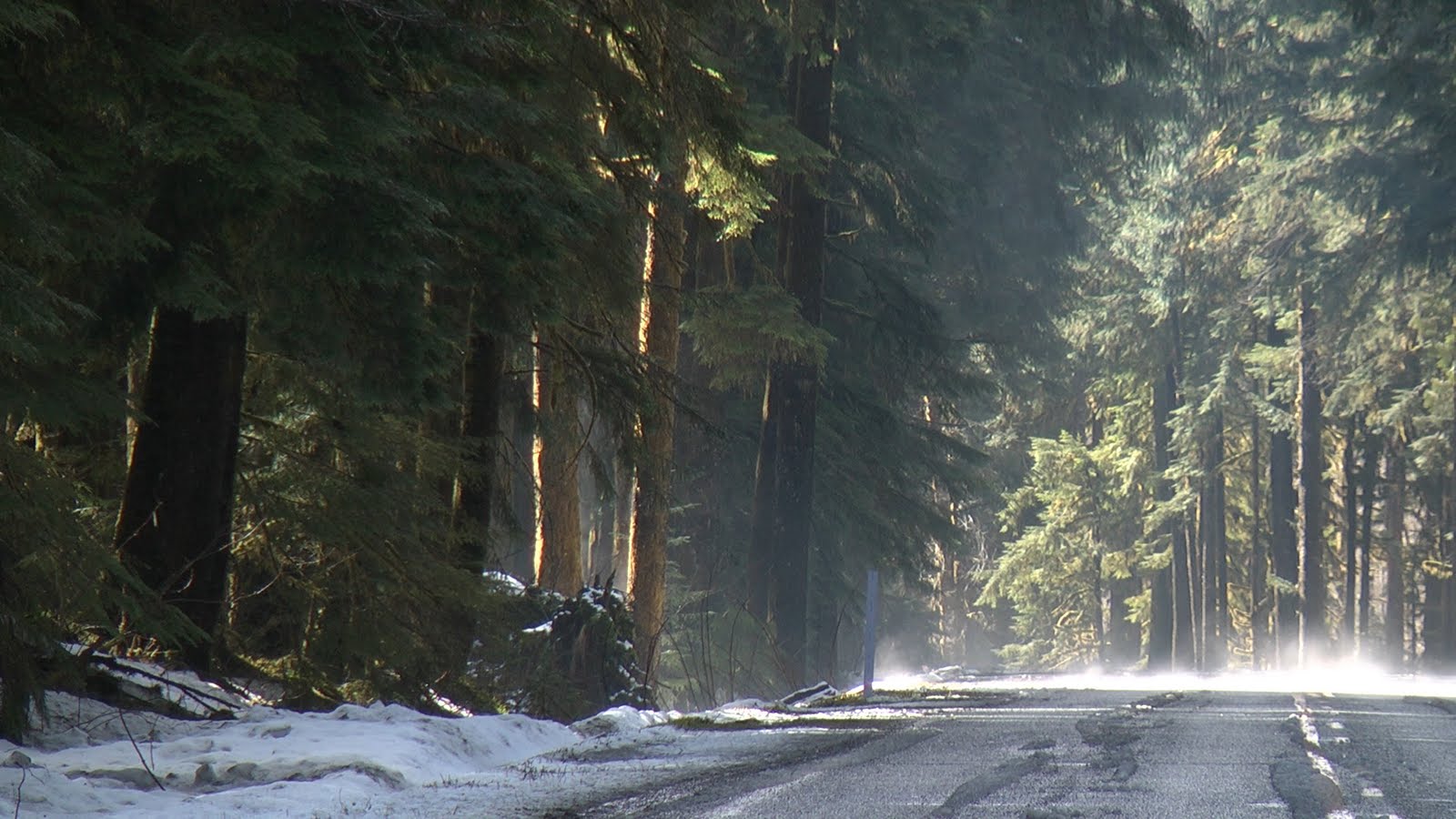 Keith Lango Animation