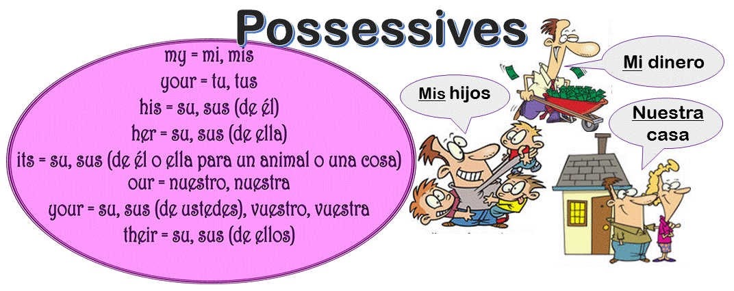Teacher Enid: POSSESSIVE ADJECTIVES