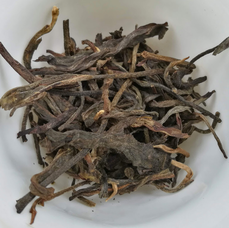 Tea in the ancient world: Kinnari Tea Phongsaly Laos local sheng