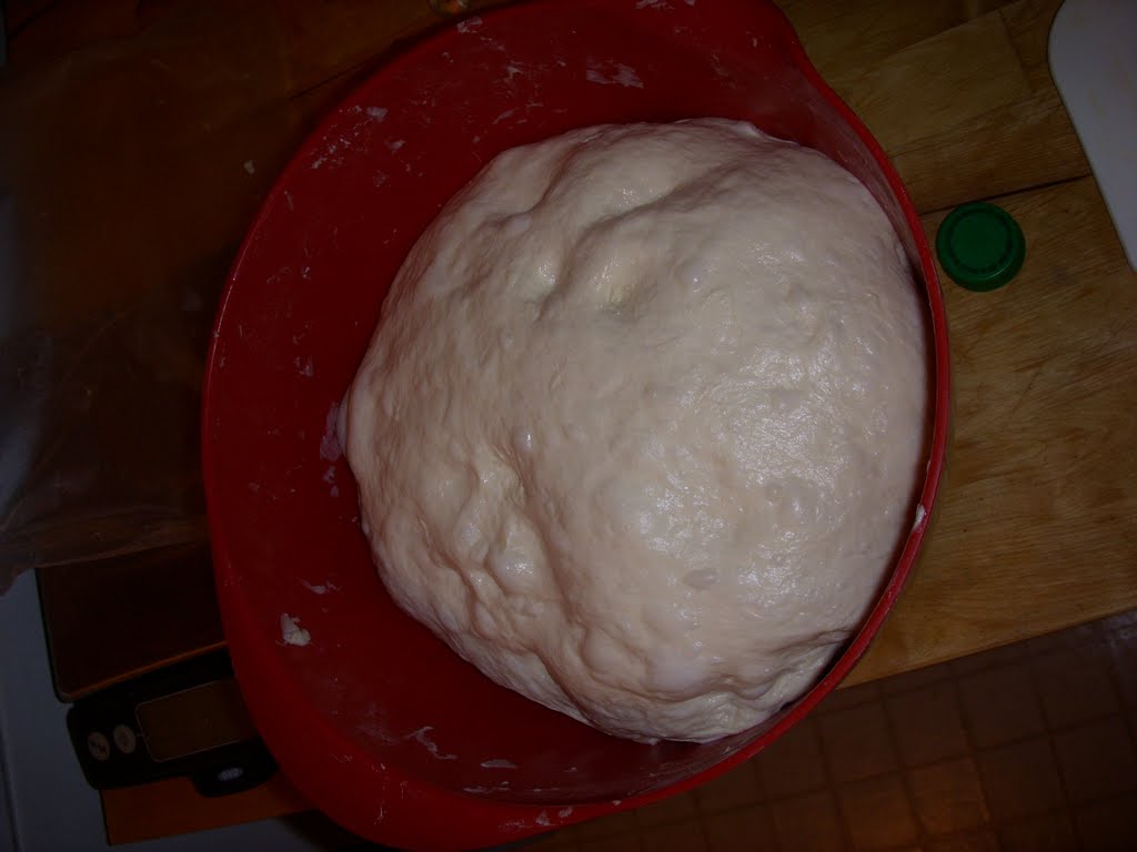 The Baritone Bread Log: Bread Log 17: Six Fold French.