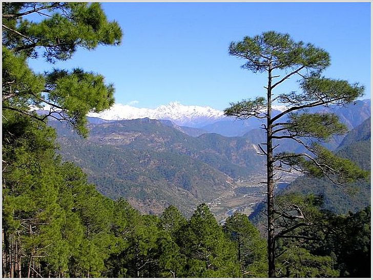 Kunsi Ashram Photo Album | Purusha at Maharishi Ashram - Kunsi ...