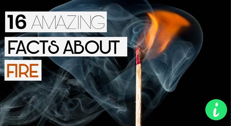 16 Amazing Facts About Fire You Must Know - InfoHifi