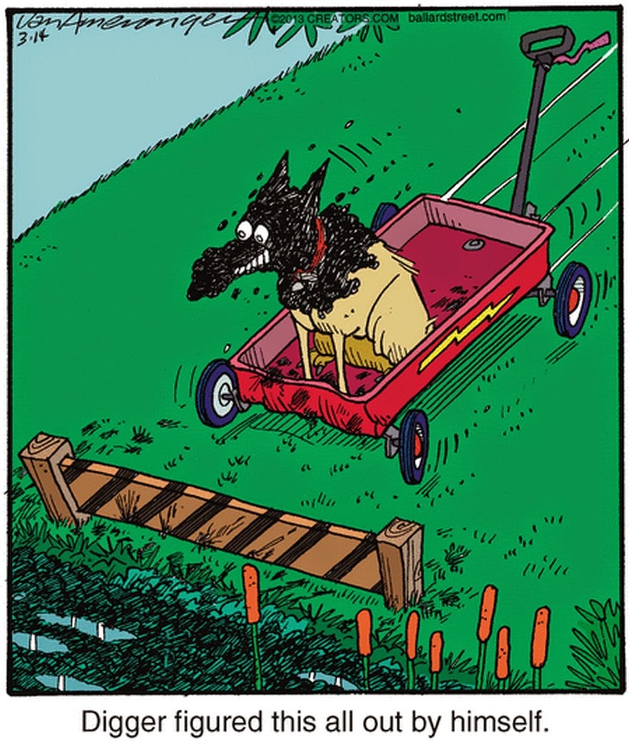 Chuck's Fun Page 2: A dozen cartoons worth smiling over