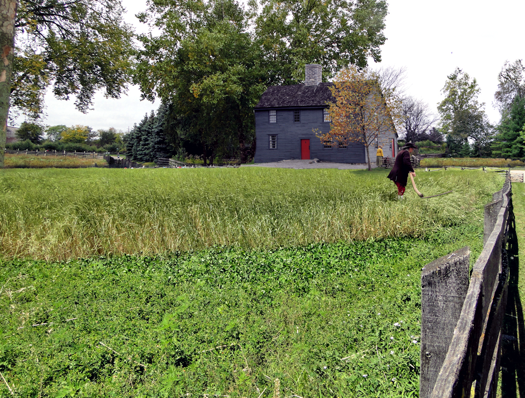 Passion for the Past: A Year on a Colonial Farm: Living By the Seasons