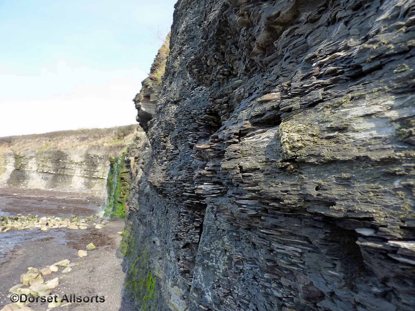 Dorset Allsorts: Kimmeridge