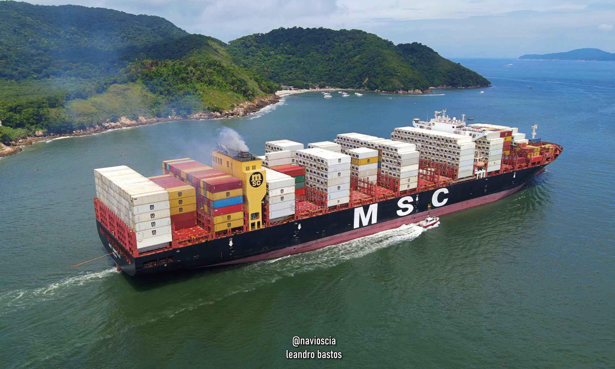 Navios de Santos & CIA: navio MSC DOMITILLE