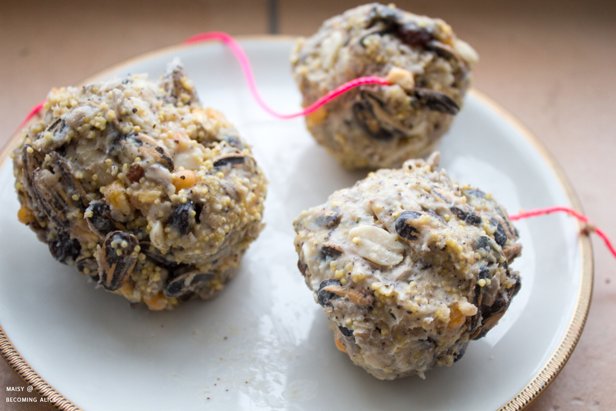 Easy DIY Fat Balls for Birds | Homestead Herbs & Healing | holistic living