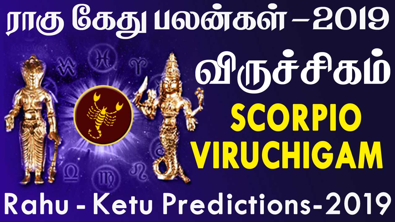 Pakka tv Rahu Ketu Peyarchi Transit Horoscope For Viruchigam Rasi pakka-tv-rahu-ketu-peyarchi-transit-horoscope-for-viruchigam-rasi