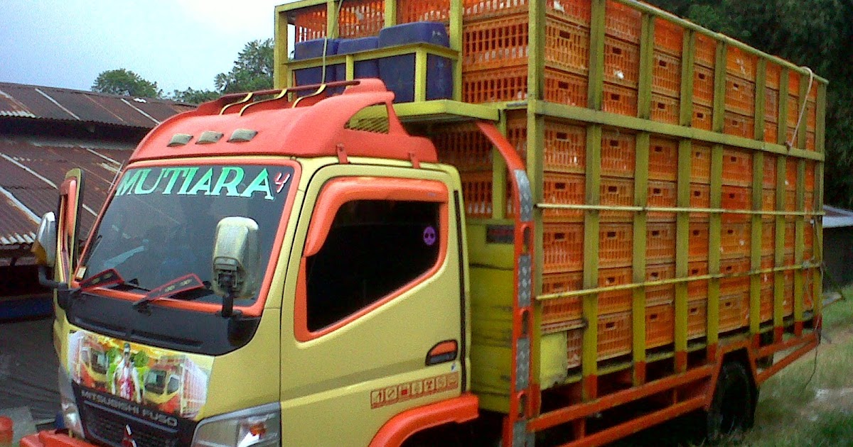 35+ Truk Angkut Ayam, Inspirasi Terbaru!