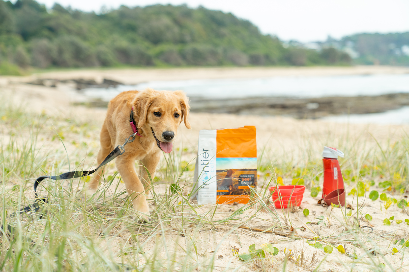 Frontier Pets - Raw Freeze-Dried Dog Food | Australian Dog Lover