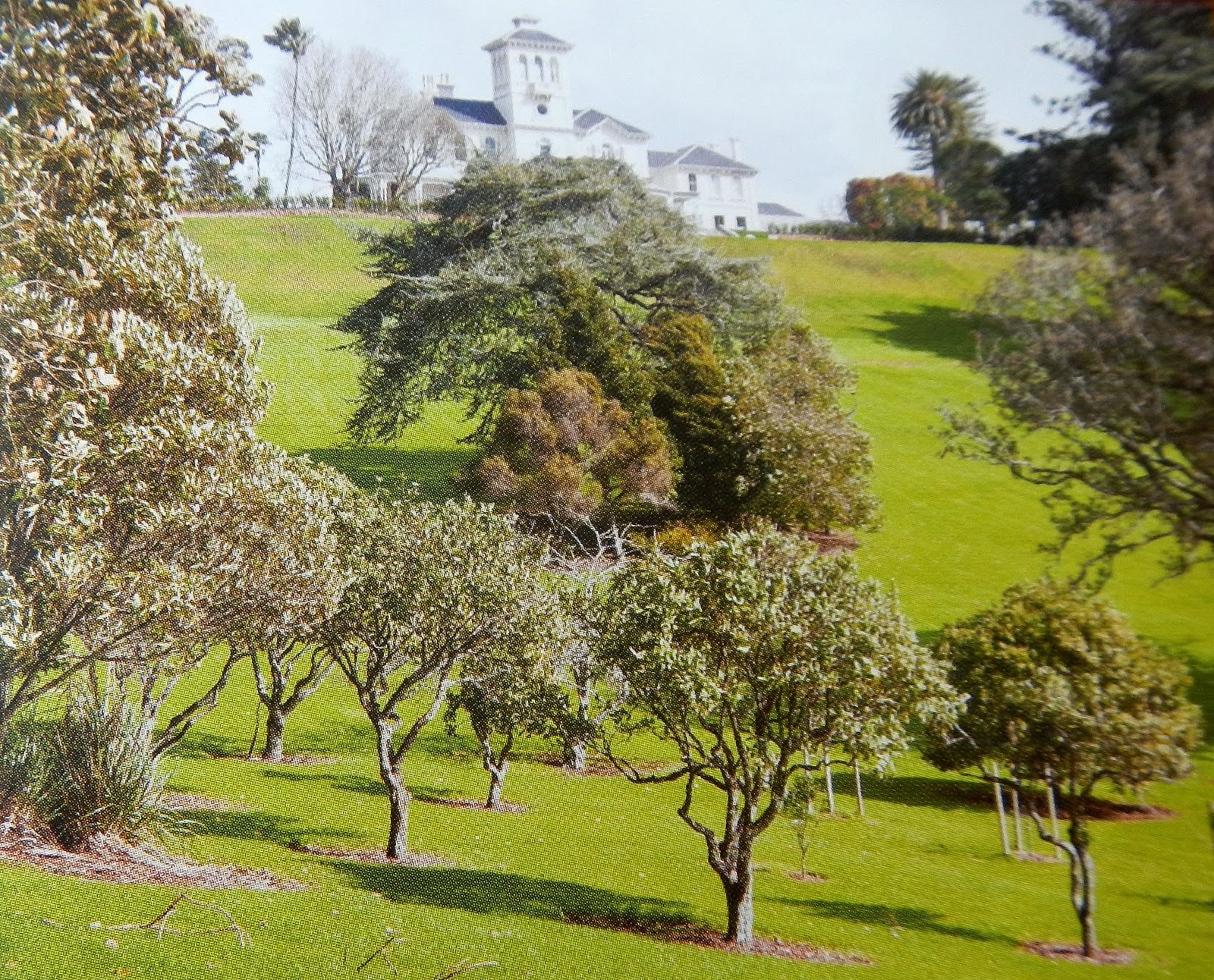 Licorice Allsorts: Auckland... Pah Homestead...